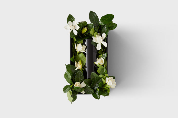 Explore our Gardenia Flower Gift Boxes - High Camp Supply