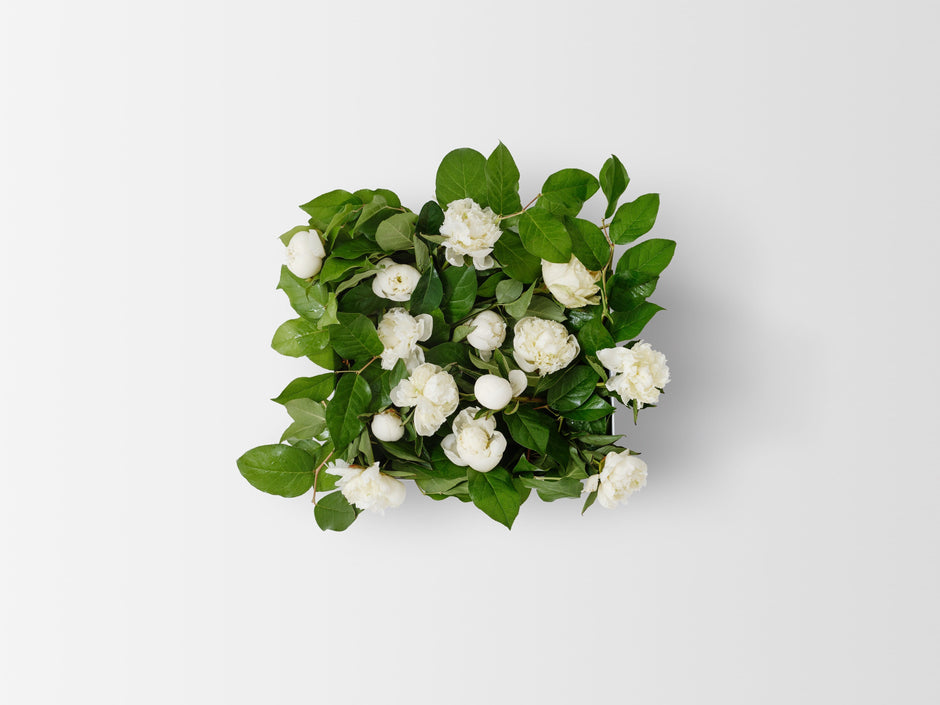 Luxury Gardenia & Seasonal Flower Boxes | Overnight | High Camp Supply