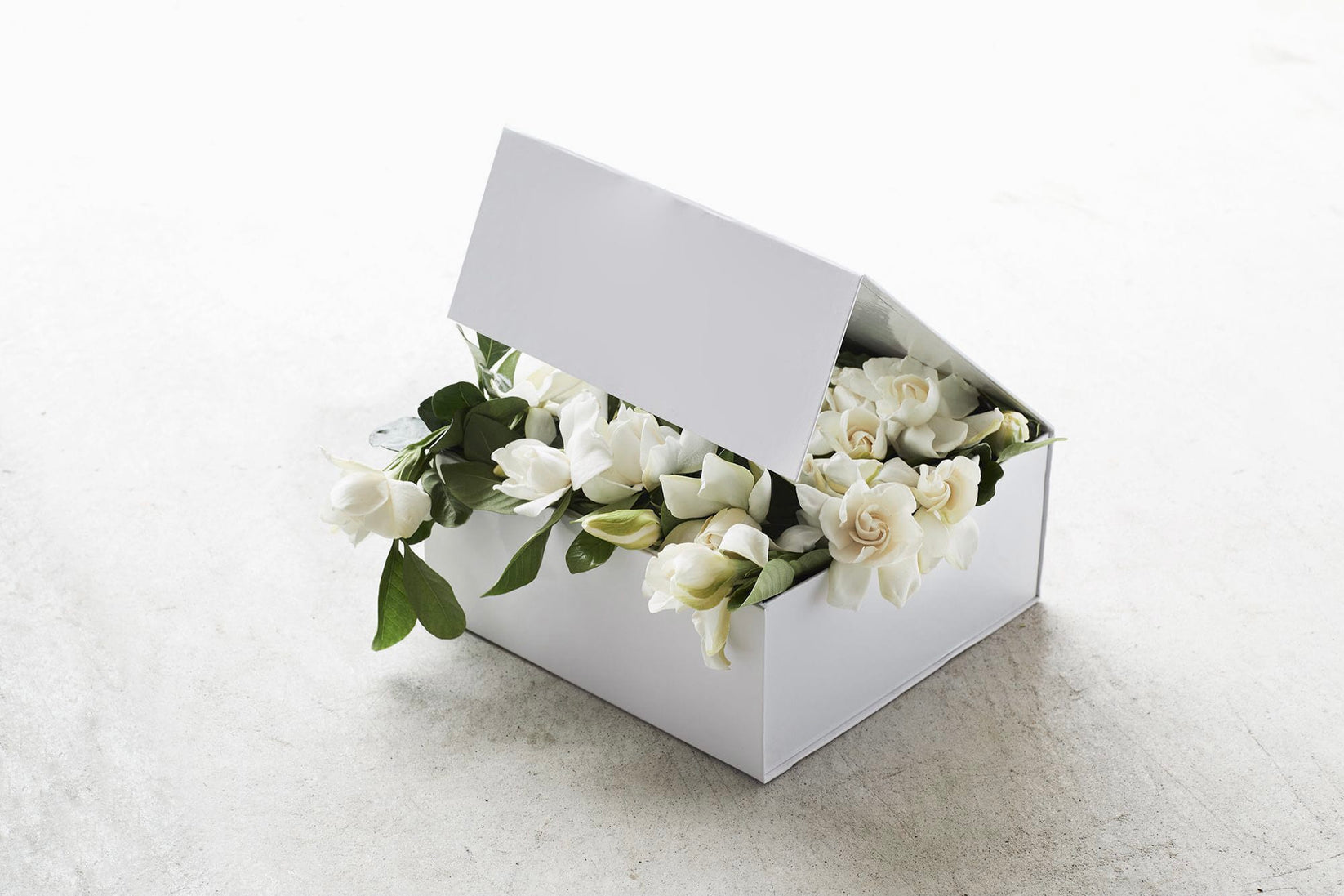 Deluxe Gardenia Vine & Bloom Gift Box | High Camp Supply