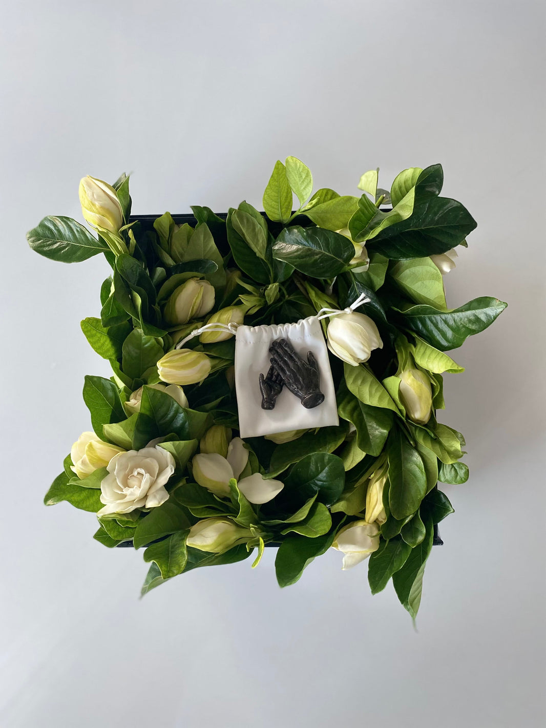 Explore our Gardenia Flower Gift Boxes - High Camp Supply